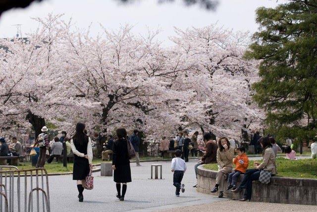 Mengenal 7 Tradisi Unik di Dunia, Leher Panjang sebagai Simbol Kecantikan?