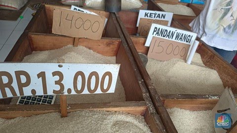 Biang Kerok Harga Beras Mahal Terungkap, Ini Kata Bapanas