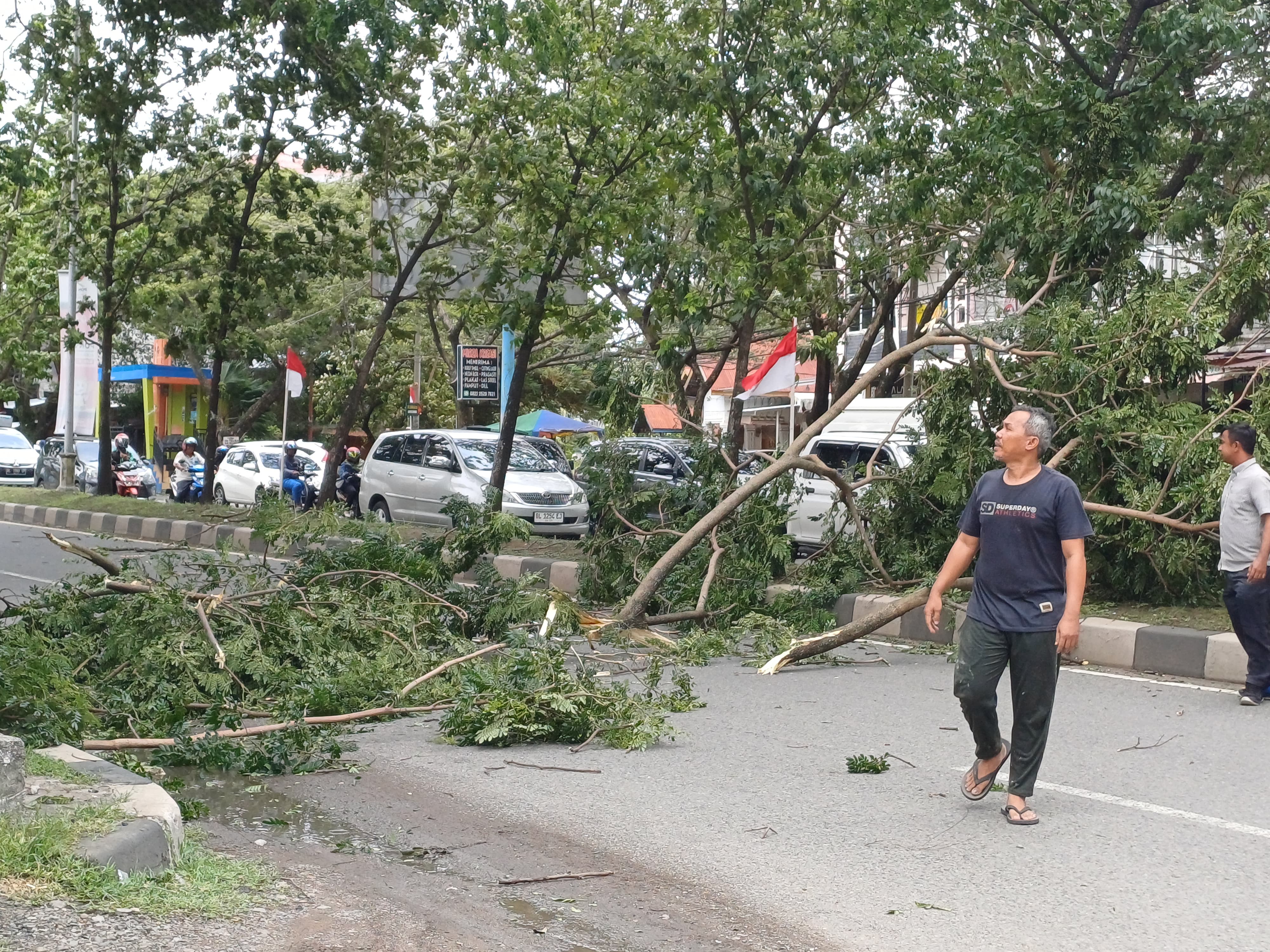 Angin Kencang, Ranting Pohon Patah hingga Tutupi Badan Jalan