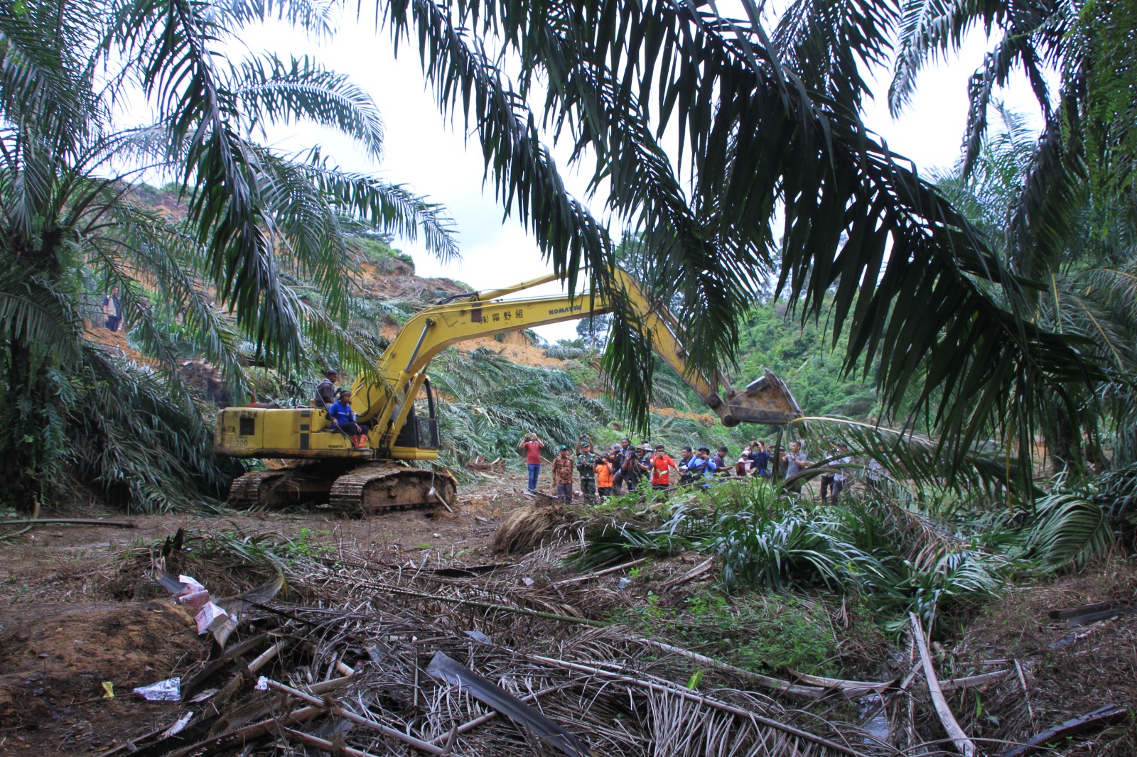 Pemulihan Fungsi Kawasan Hutan TNGL Blok Tenggulun