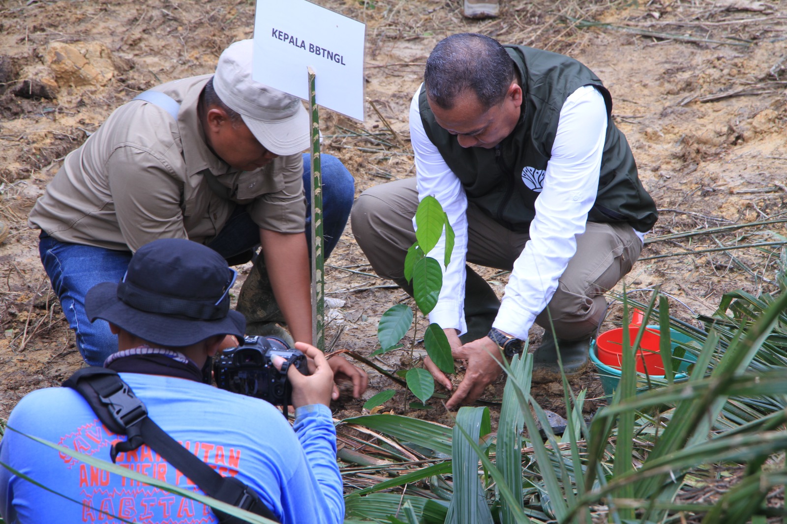 Pemulihan Fungsi Kawasan Hutan TNGL Blok Tenggulun