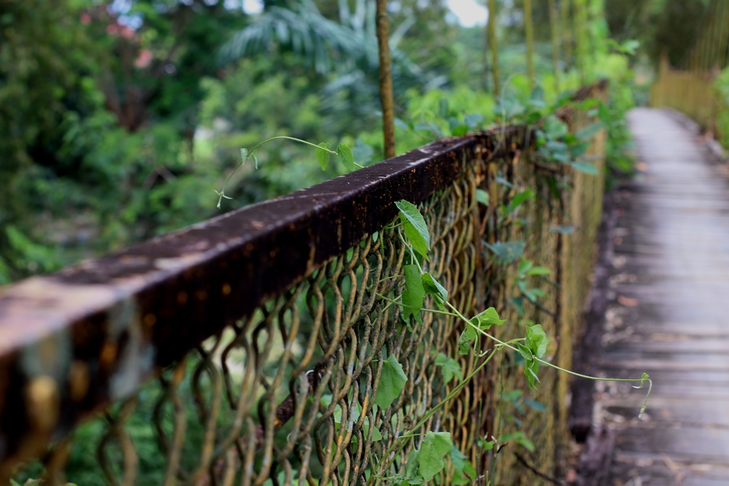 Kondisi Jembatan Gantung di Pedalaman Aceh Besar